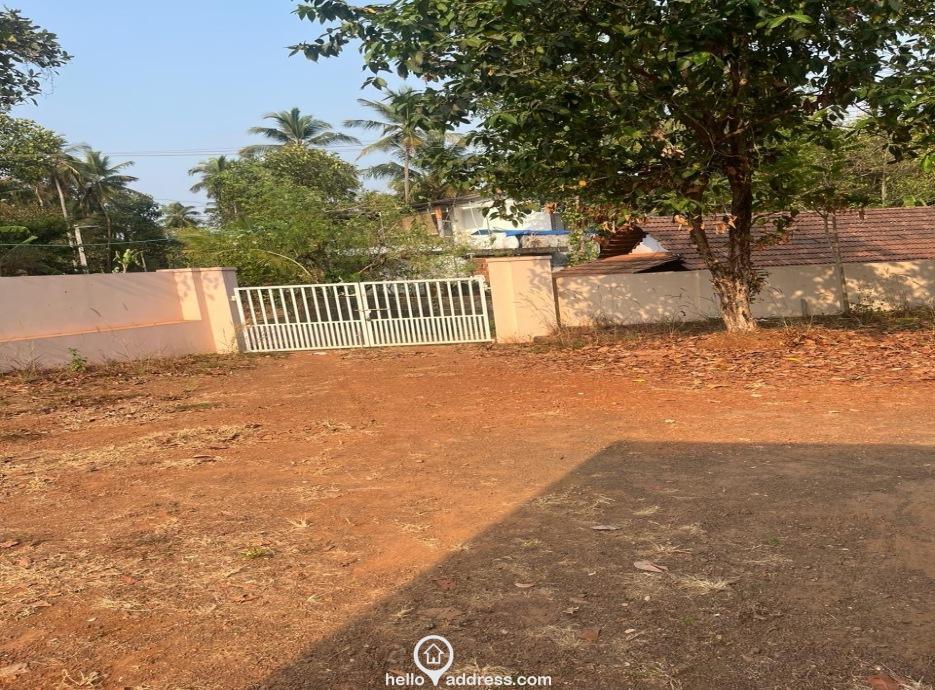 Residential land / Plots in Mattanur Kannur-helloaddress