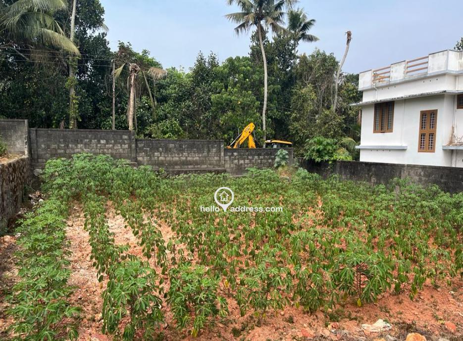 Residential Land for Sale in Pathamuttom, Changanassery, Kottayam ...