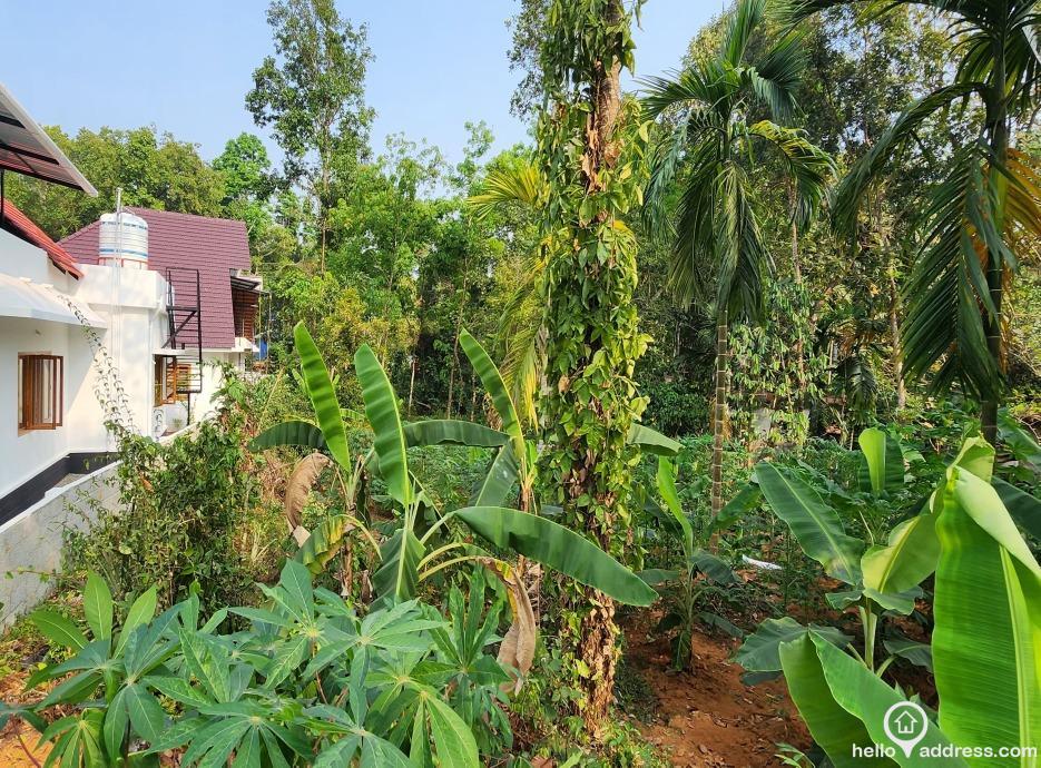Residential land for sale at Vallichira , Pala Kottayam | Helloaddress ...