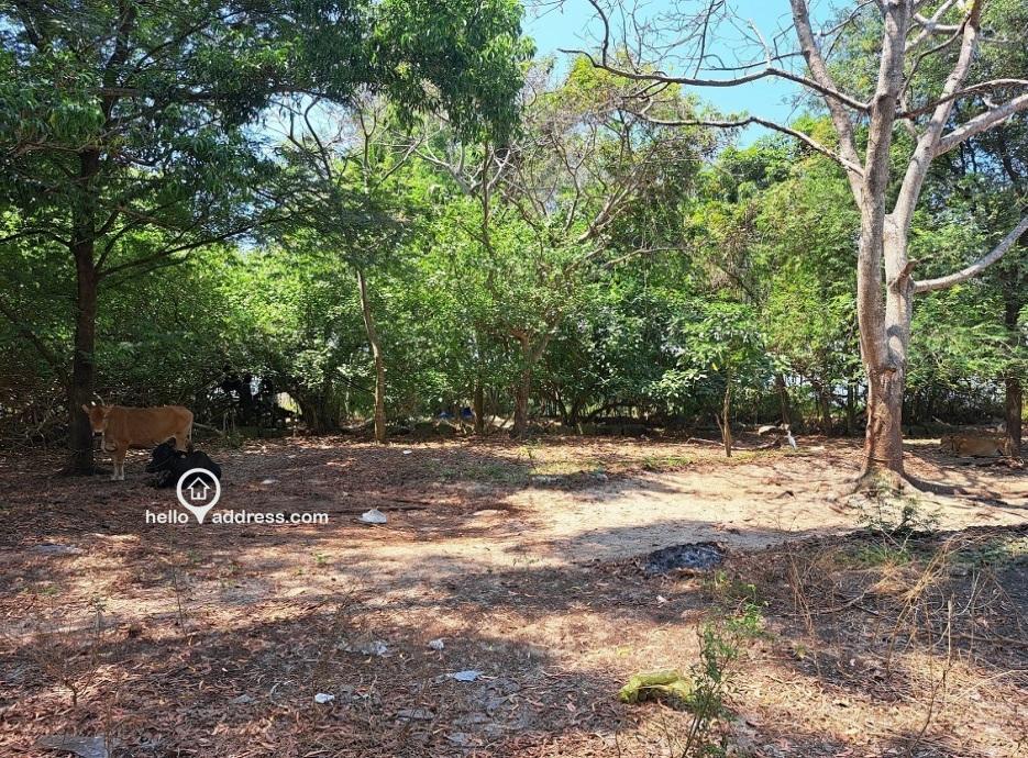 Commercial Land / Plots for Sale in Alleppey