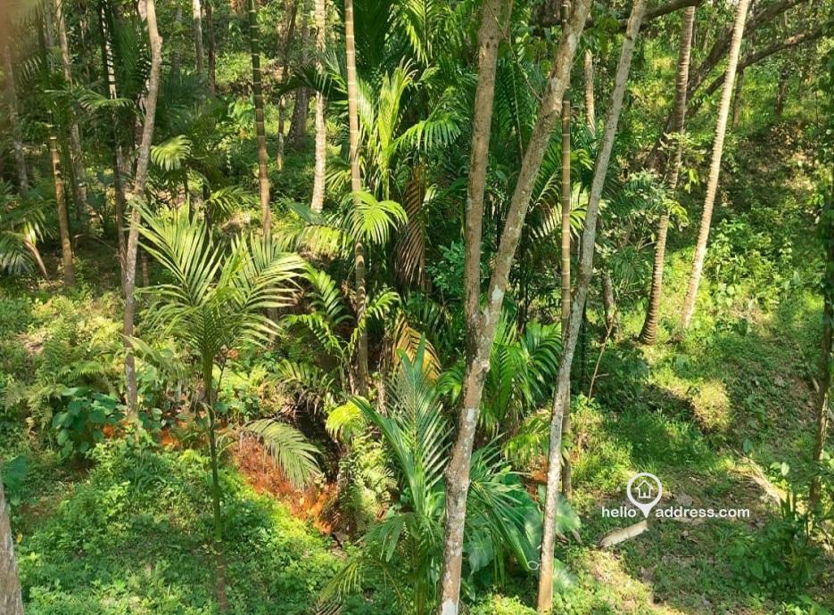 10. cent residential land for sale at Peyad , Trivandrum